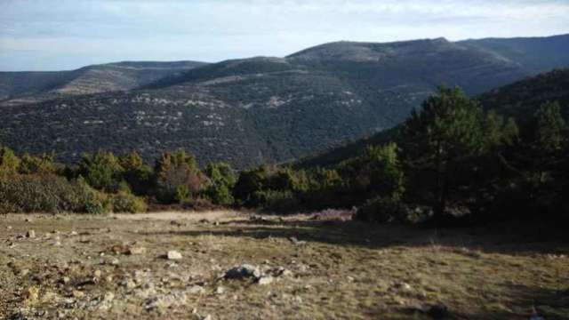 Villar del Río organiza la XII Marcha Senderista "La Cruz de Mayo"