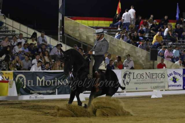 Entre los 50 mejores jinetes de España