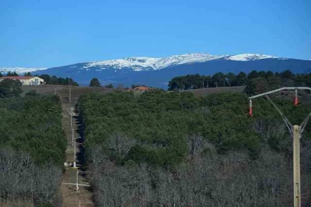 Camino de Abejar - fotos